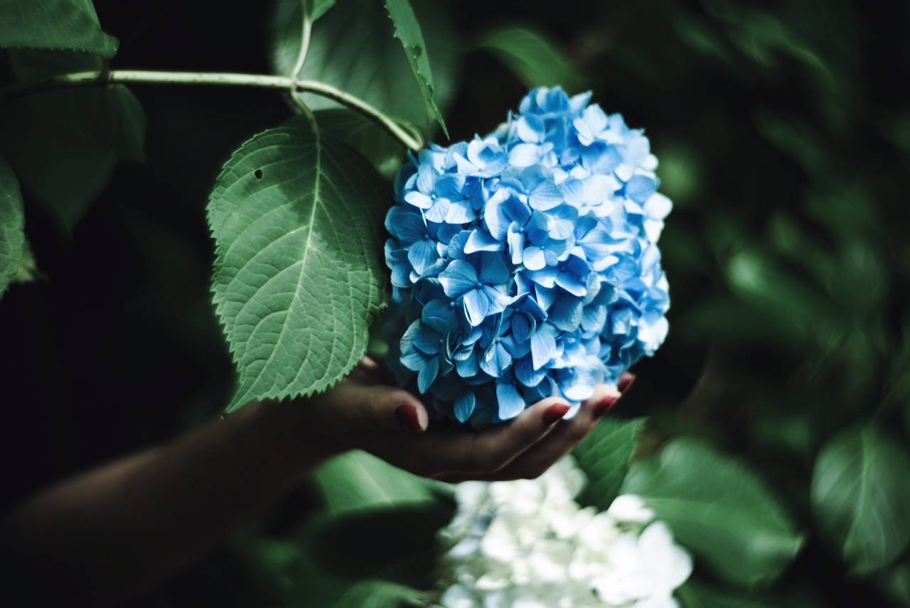 Stylized Portraits with the Petzval 85 Art Lens: An · Lomography