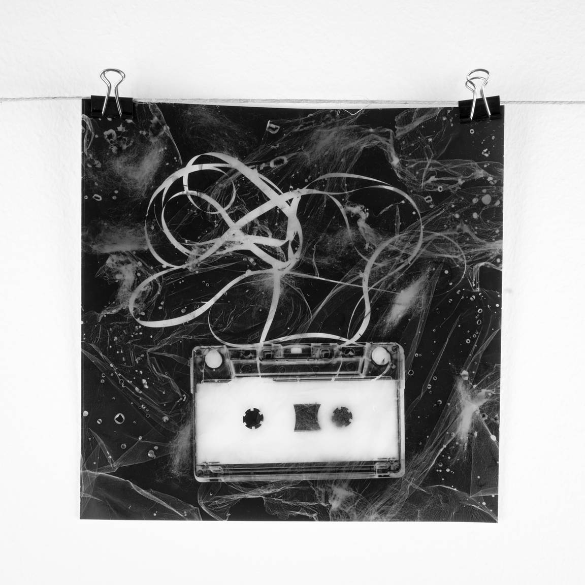 Darkroom Fun with Photograms · Lomography