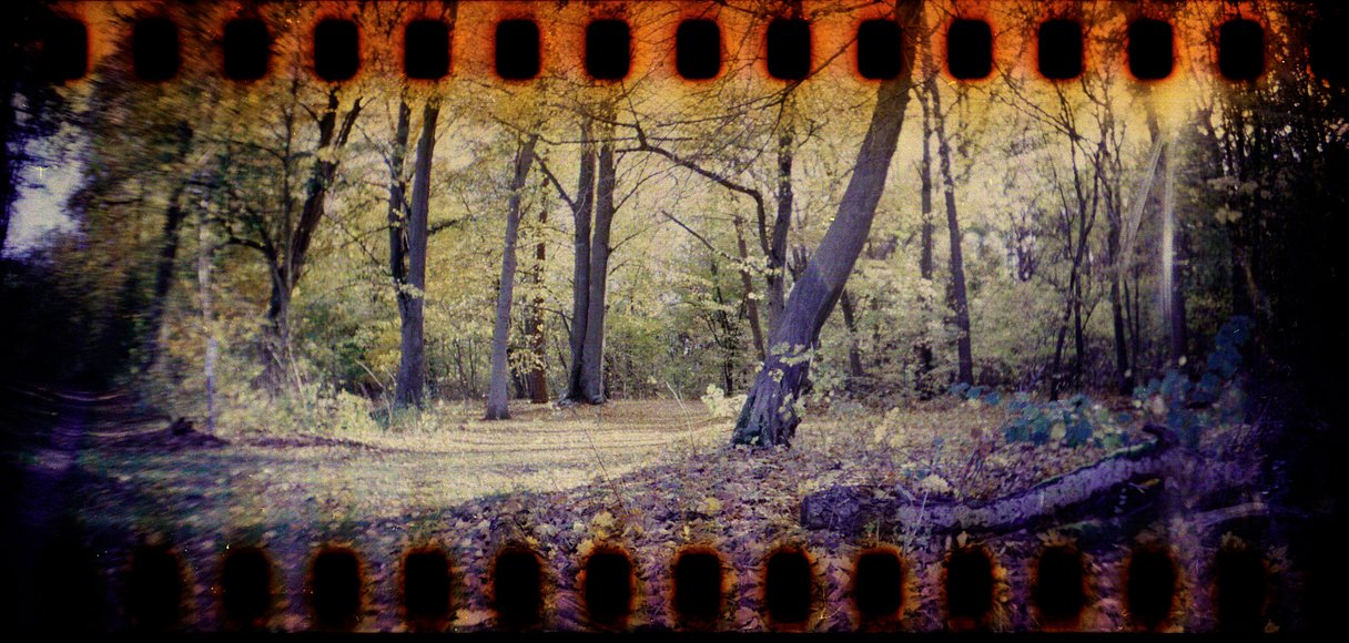 Sprocket Rocket Shots - 3 different shades of… — · Lomography