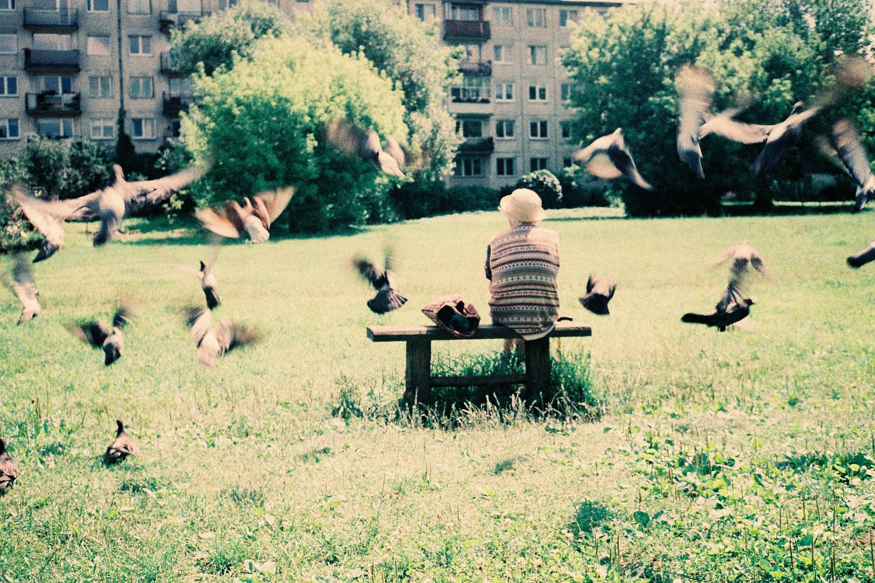 TEN AND ONE Annual Lomography Photo Awards 2017: Urban · Lomography