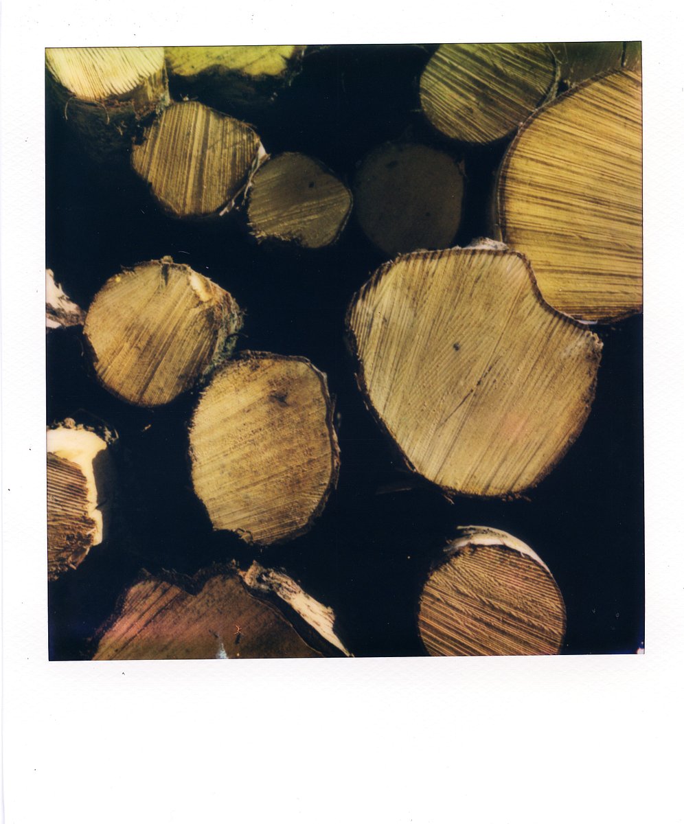 Polaroid SLR 680 // Polaroid Films - Pola Mix — zorki · Lomography