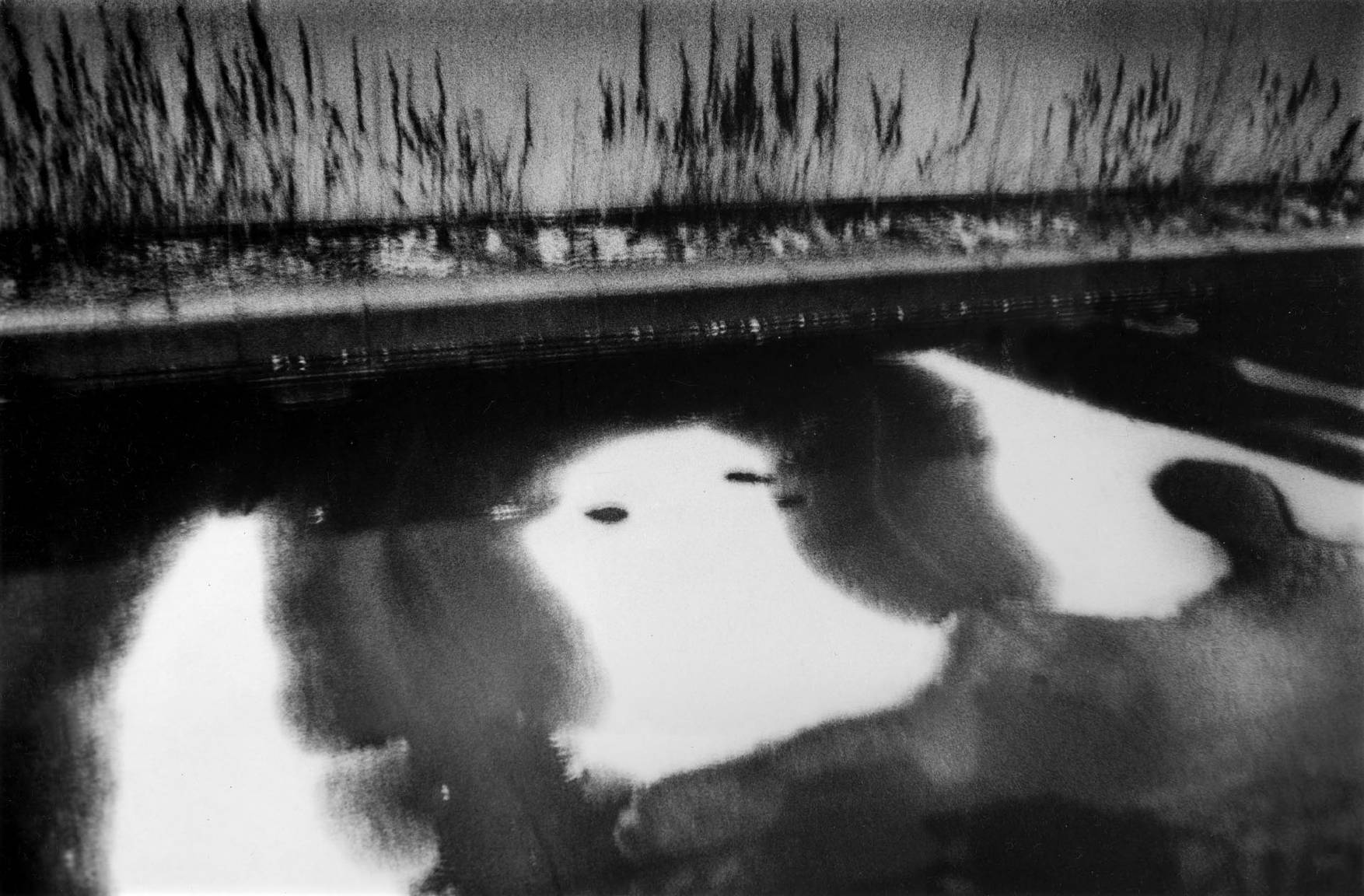 Literature in Photography: an Interview with Igor Posner · Lomography