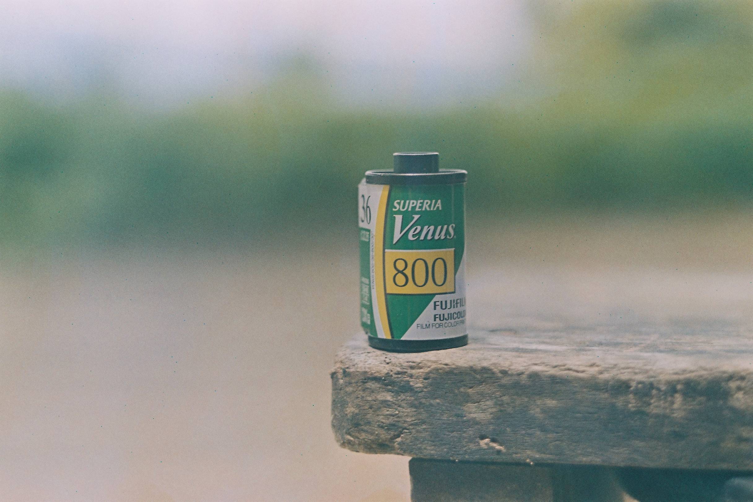 #26697895 — modern_nmt · Lomography