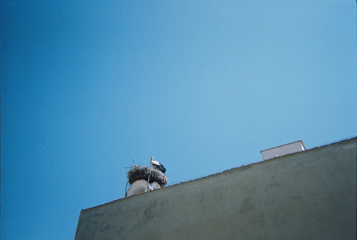 A Family Adventure With A Simple Use Reloadable Film · Lomography