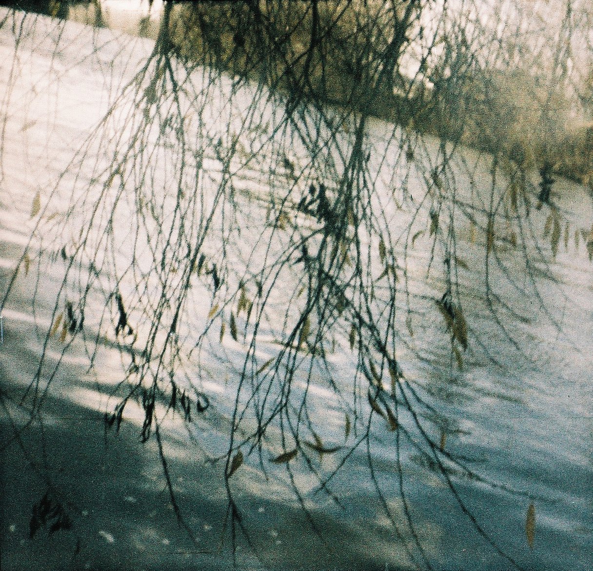 Diana Baby 110: Ready to Shoot, From Pocket to Palm · Lomography