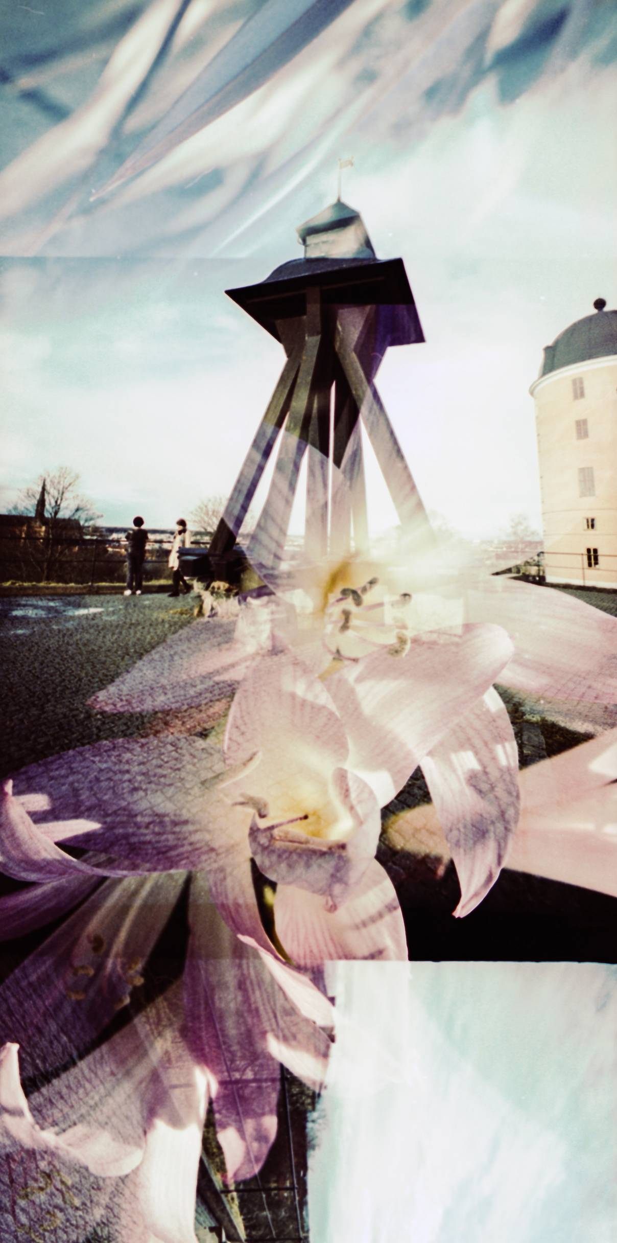 Back To Basics: Cross Processing · Lomography