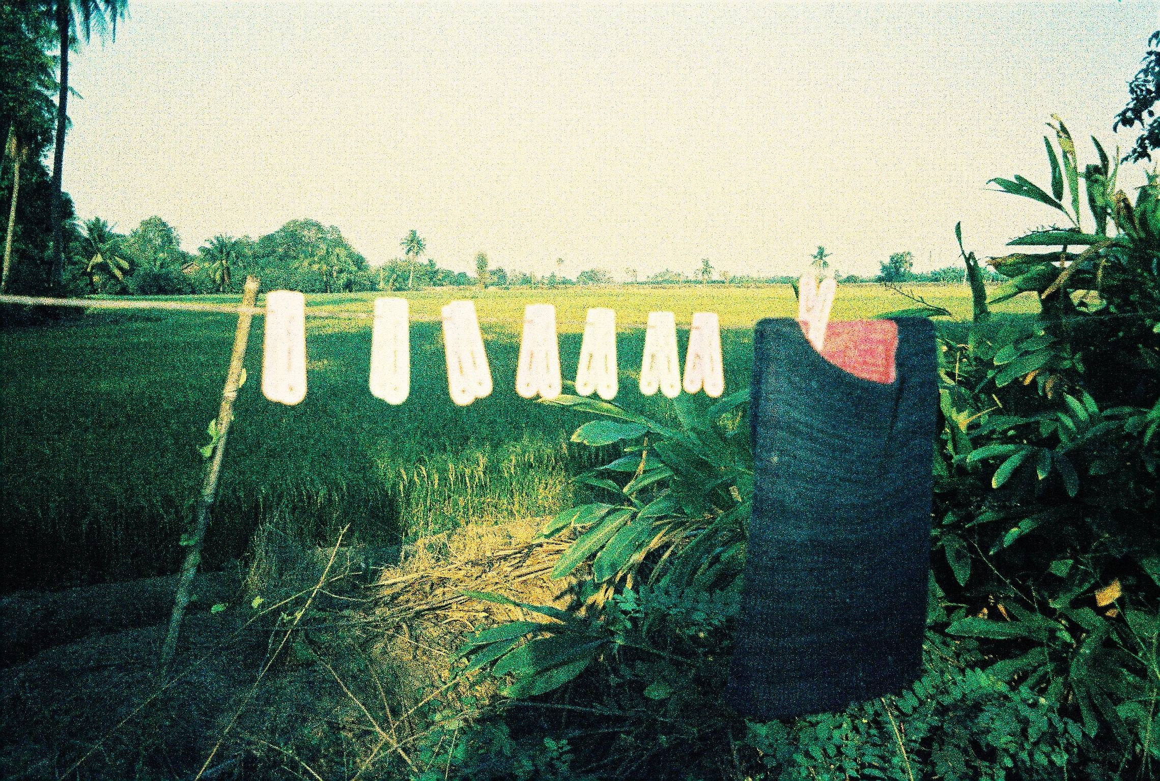 Thinking — modern_nmt · Lomography