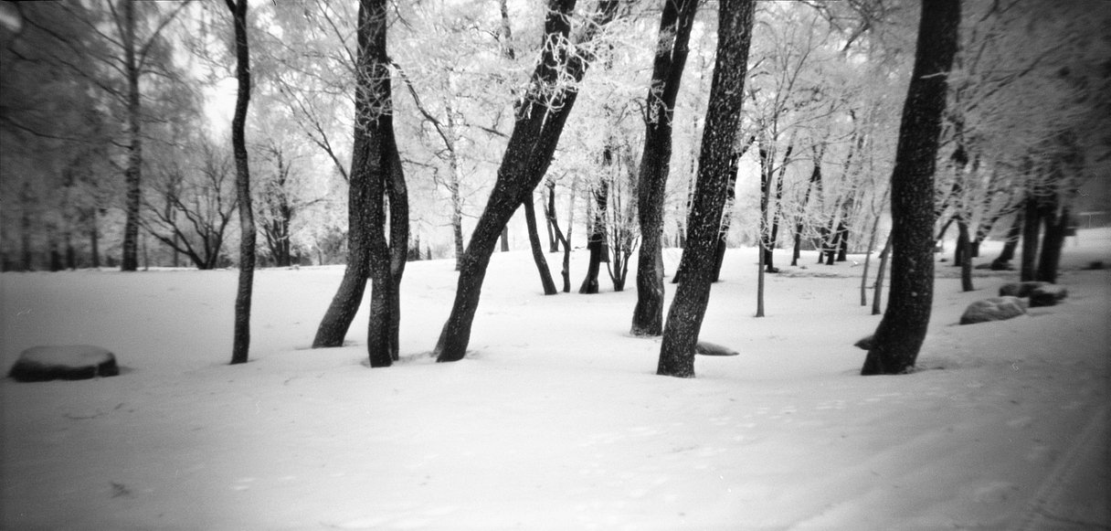 Pinhole view — oleman · Lomography