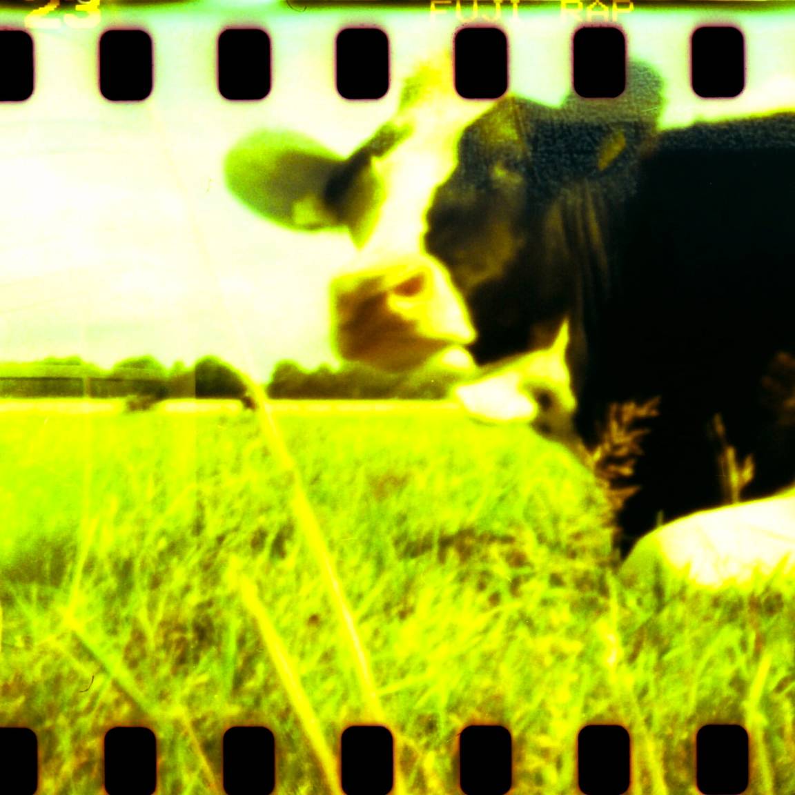 Pushing, Pulling, Cross-Processing – What? · Lomography