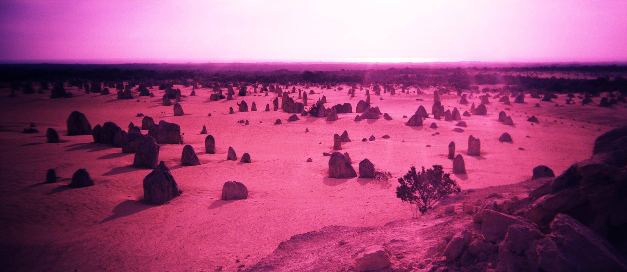 Holga 120 Pan: The Lightweight Panoramic Miracle · Lomography