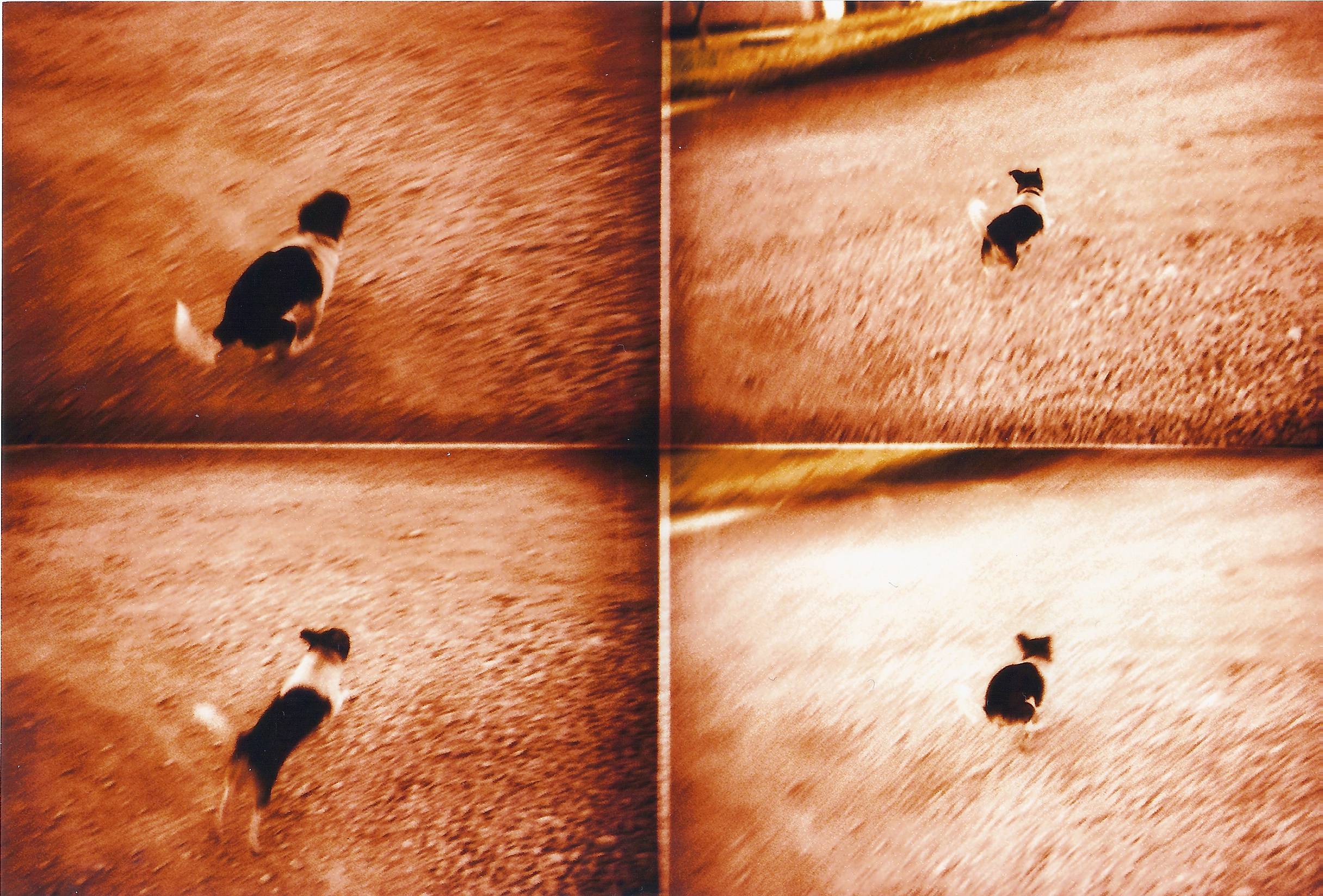 Action Sampler Review · Lomography