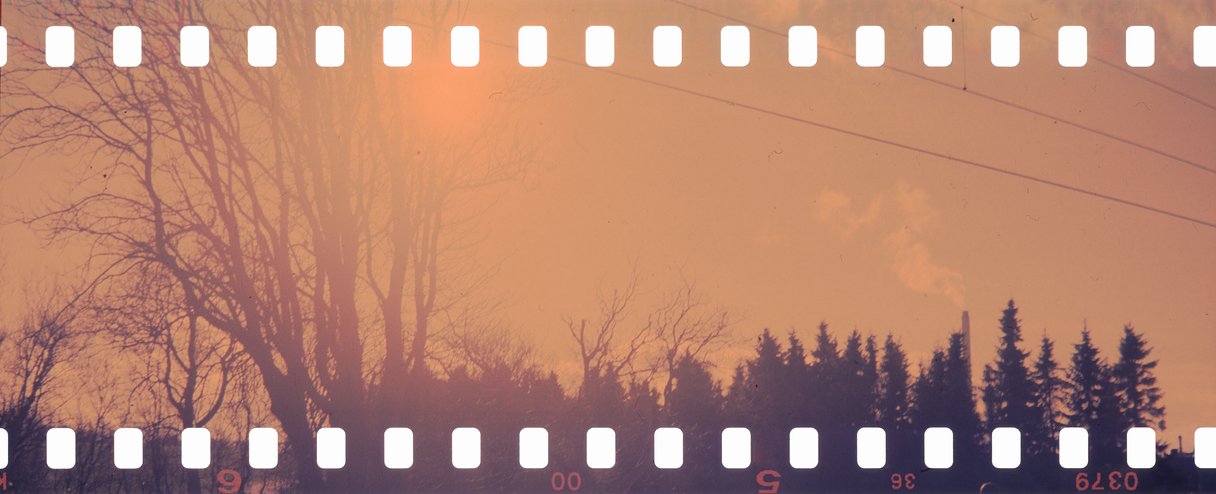 Tipster of the Week: The Inverted Equation of Cross · Lomography